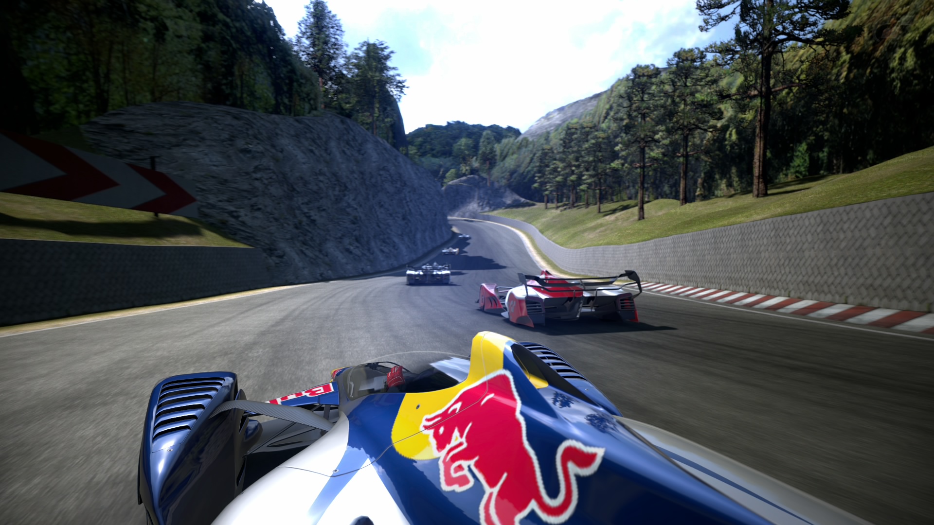 Red Bull X2014 Standard